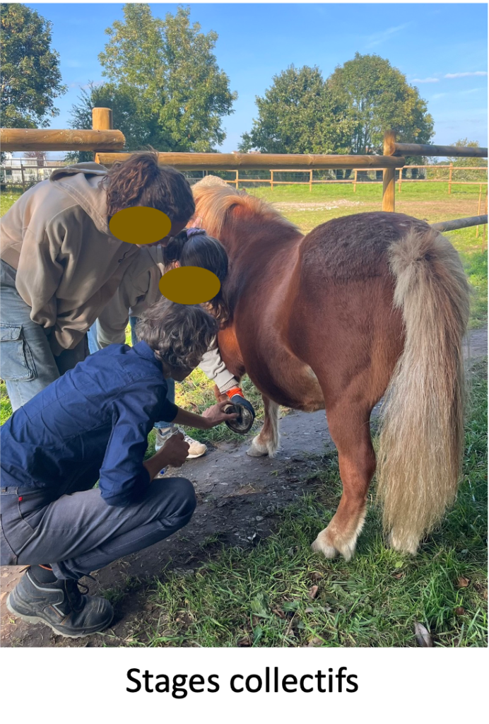 Formation initiation parage – Equi'n Equilibre